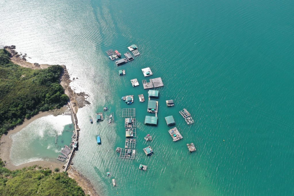 Exploring Yim Tim Tsai Island in Sai Kung - Dimsum Daily