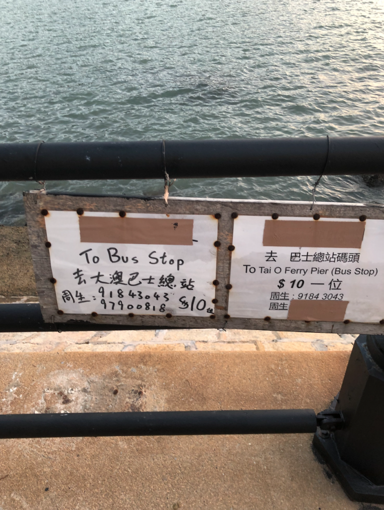 Discovering the secret spots of Tai O Village - Dimsum Daily