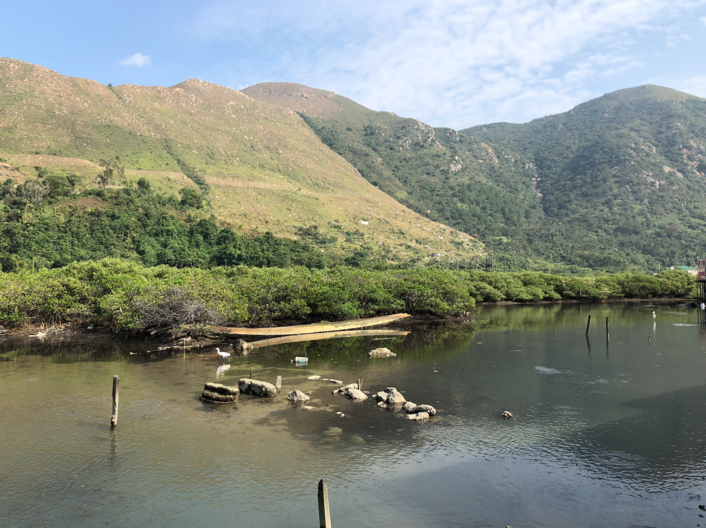 Discovering the secret spots of Tai O Village - Dimsum Daily