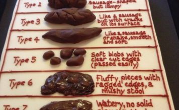 What are the different types of poop and what do they tell you about ...