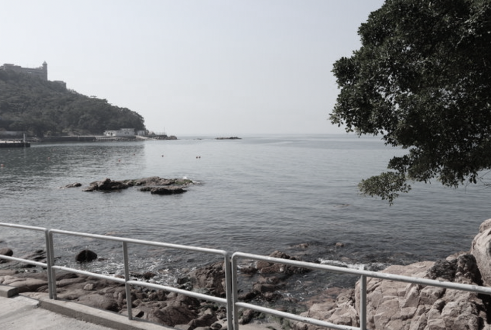 Woman found dead on Stanley main beach BBQ site - Dimsum Daily