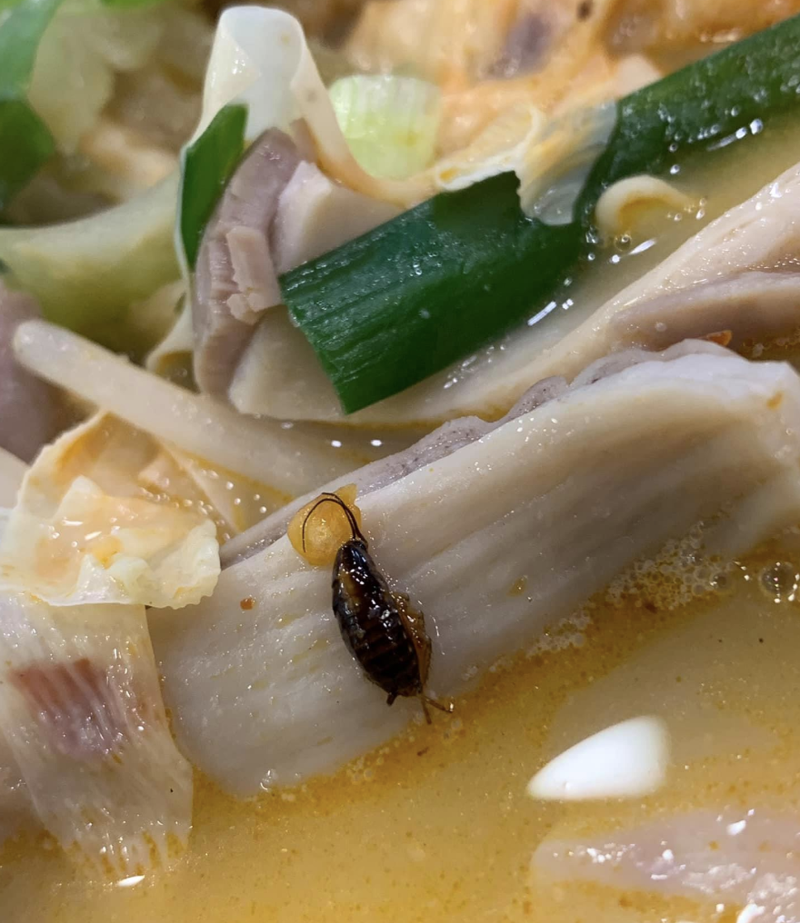 Cockroach found in seafood noodle soup at YUMAI restaurant in Tai Po ...