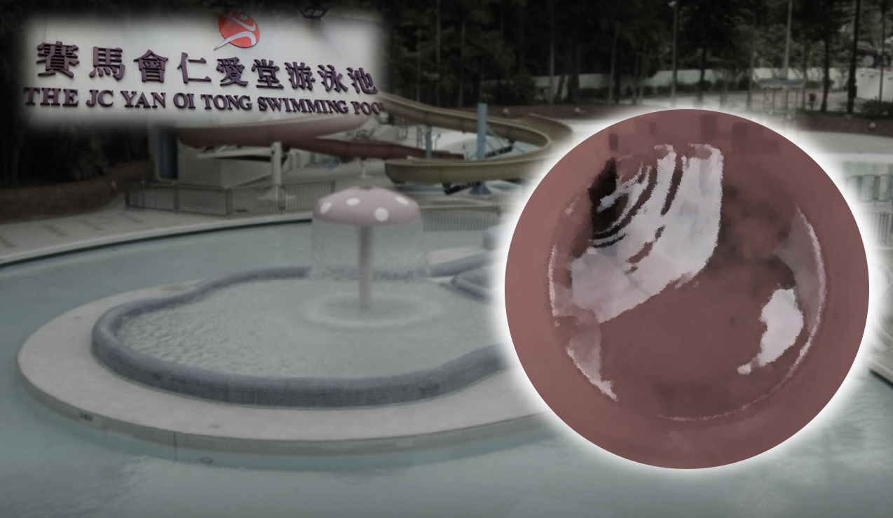 Live rat found swimming in The Jockey Club Yan Oi Tong Swimming Pool ...