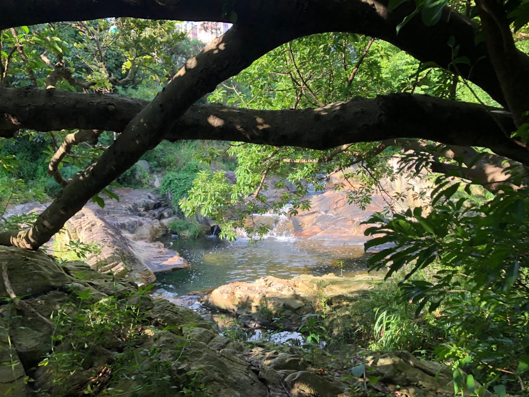 Wanderlust Hiking Guide - Waterfall Bay Park, Pok Fu Lam - Dimsum Daily