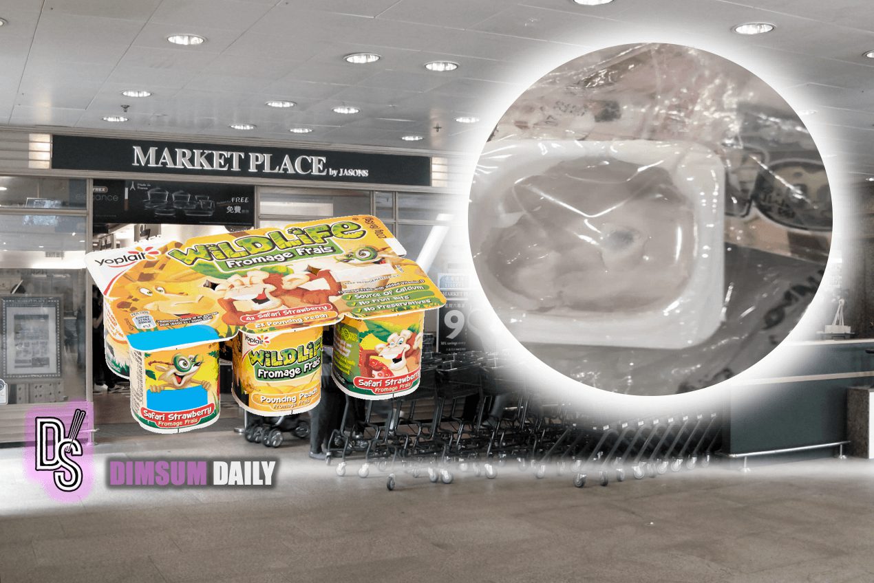 Yoplait Wildlife yoghurt bought at Market Place by Jasons at Lee ...