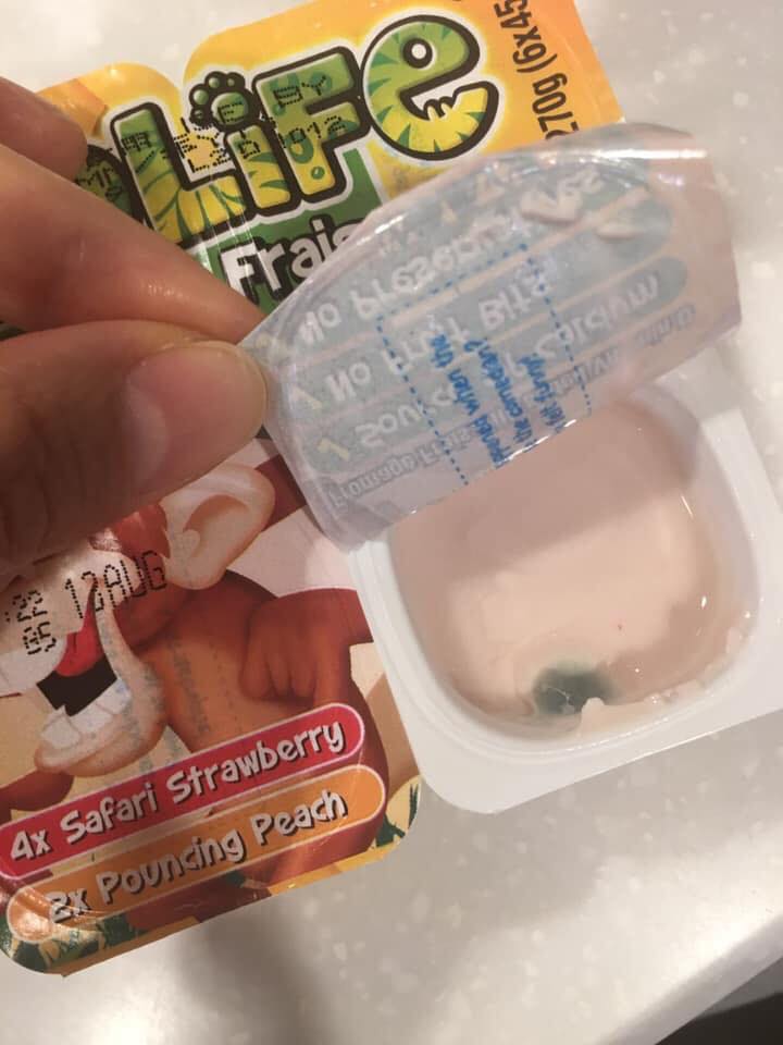 Yoplait Wildlife yoghurt bought at Market Place by Jasons at Lee ...