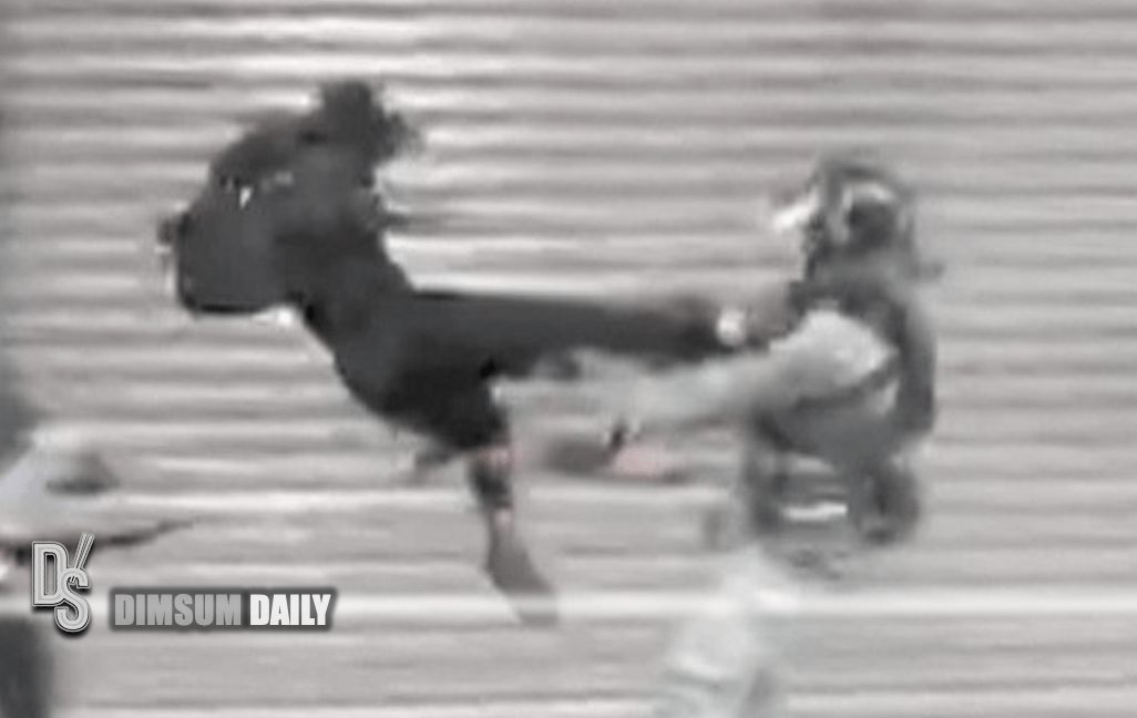 Protester performs 'flying kick' on riot police before trying to snatch ...