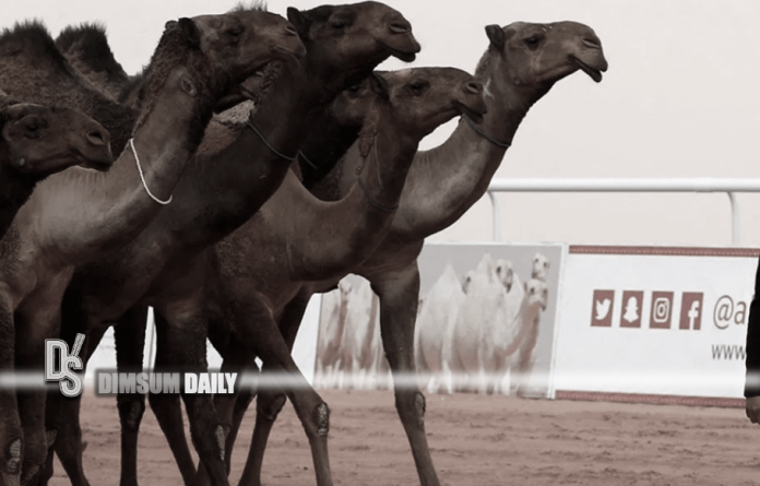 Suspected case of Middle East Respiratory Syndrome (MERS) reported by ...