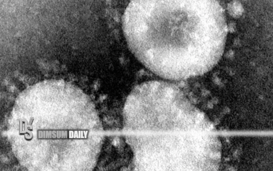 U.S. scientists begin work on a vaccine with Wuhan virus genetic code ...