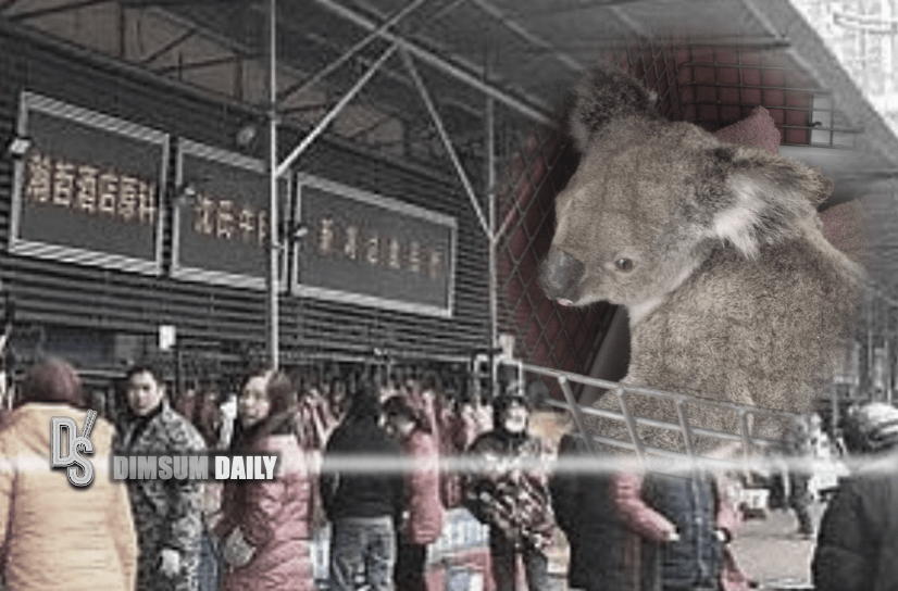 Huanan Seafood Market in Wuhan sells camels, koalas, crocodiles ...