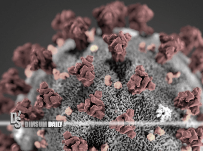 Coronavirus mutated into three distinct strains as it spread across the ...