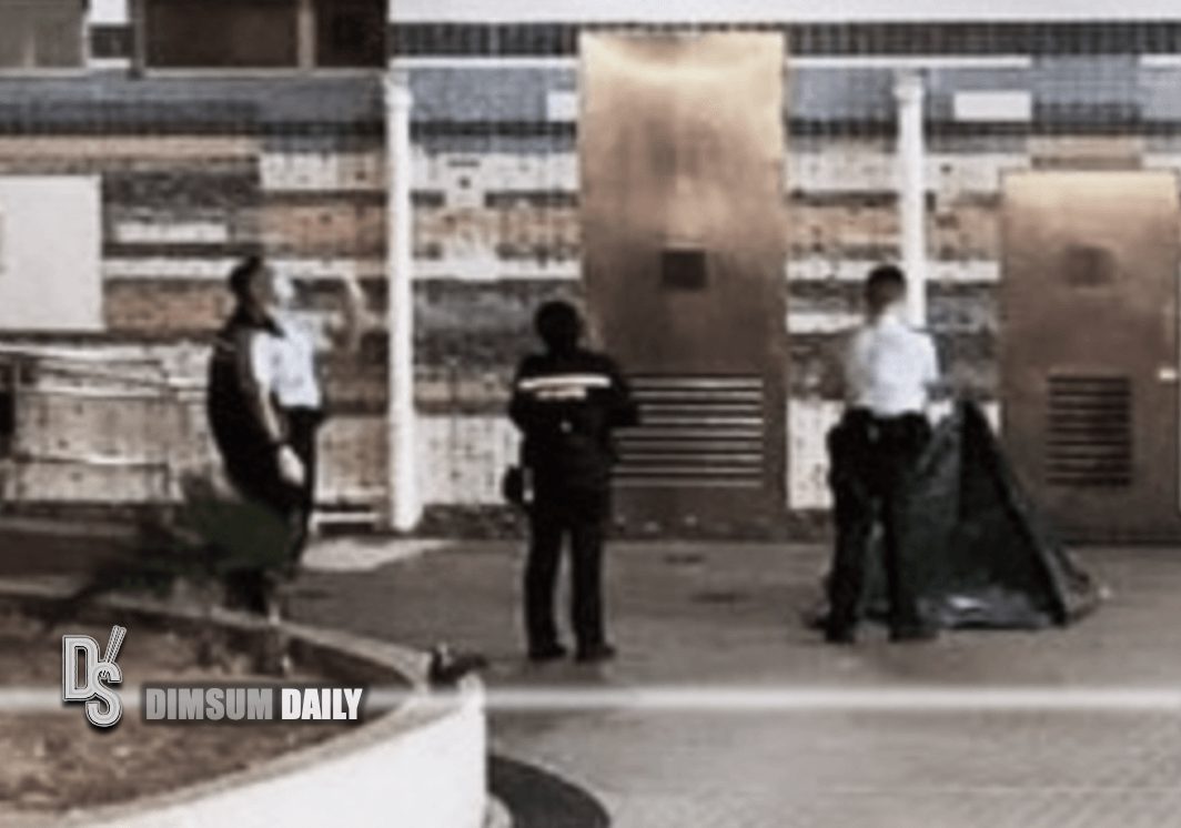 18-year-old youth plummets to his death at Tin Ching Estate, Tin Shui ...