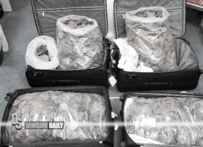 Two travellers sentenced to 27 and 21 months' jail respectively for ...