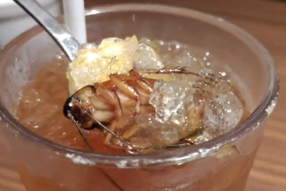 Giant cockroach found in ice lemon tea at Sweetheart Garden Restaurant ...