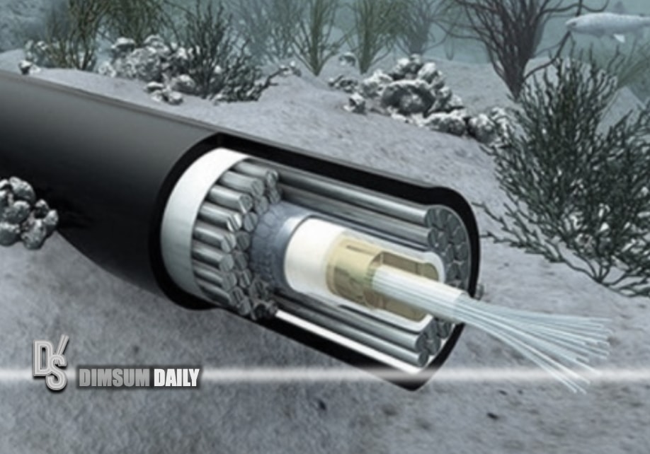 CEDB disagrees with recommendation by US Department of Justice's ...