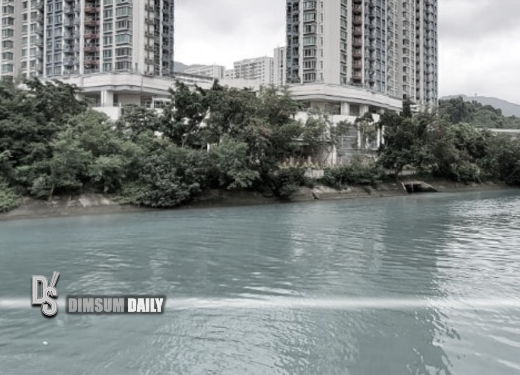 Shing Mun River in front of Man Lai Court in Tai Wai turns turquoise ...