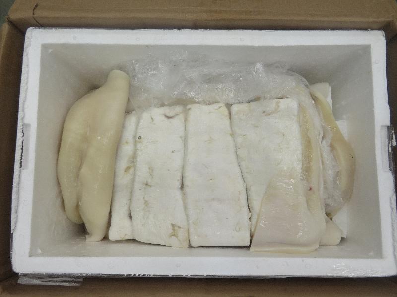 Hong Kong Customs makes suspected scheduled fresh totoaba fish maw ...