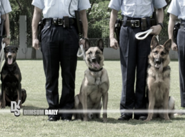 Member of police dog unit at airport police station tests positive for ...