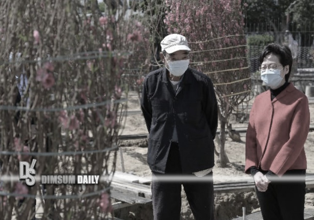 Chief Executive visits peach blossom farm in Pat Heung and Skylight ...