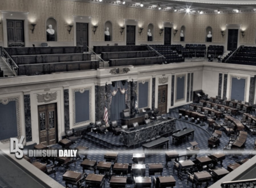 Democrats push Biden's US$1.9 trillion COVID bill through Senate on ...