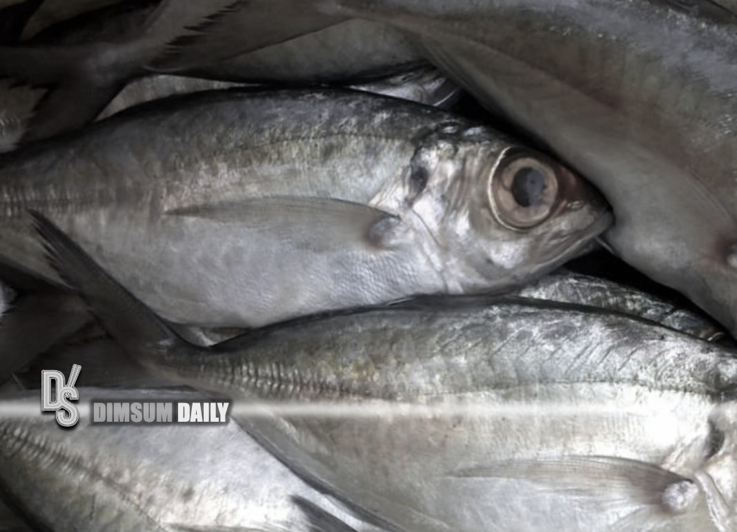 Sample of prepackaged frozen bigeye fish imported from Vietnam found to ...