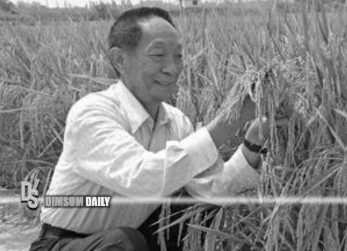 "Father of hybrid rice" Yuan Longping dies at 91 - Dimsum Daily