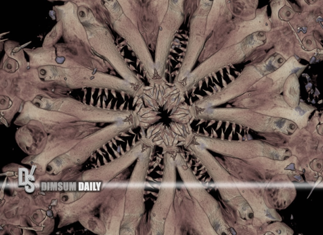 Jurassic relict reeled out of the ocean is a "totally unique" animal ...