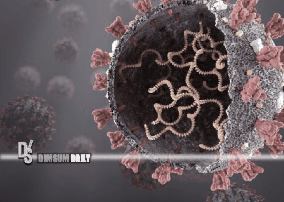New COVID-19 Variant C.1.2 with mutation rate of 41.8 times a year ...