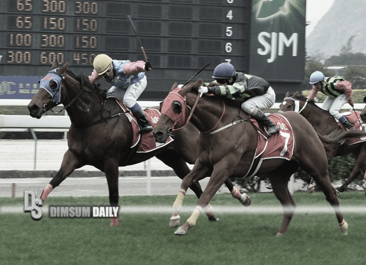 Horse racing event in Macao cancelled today - Dimsum Daily