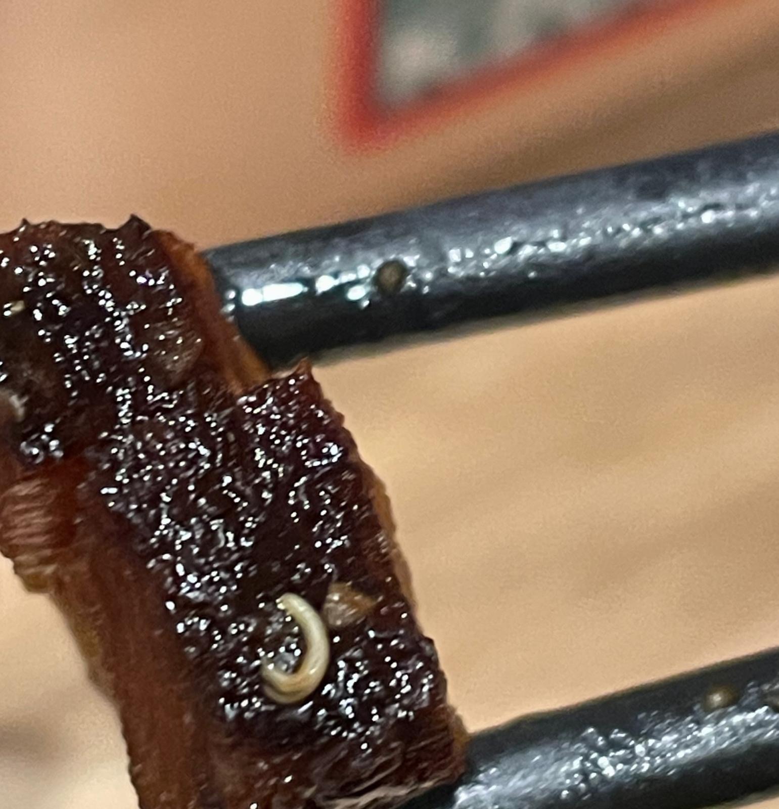 Worm spotted by customer on cured meat at Xiang Hui restaurant in ...