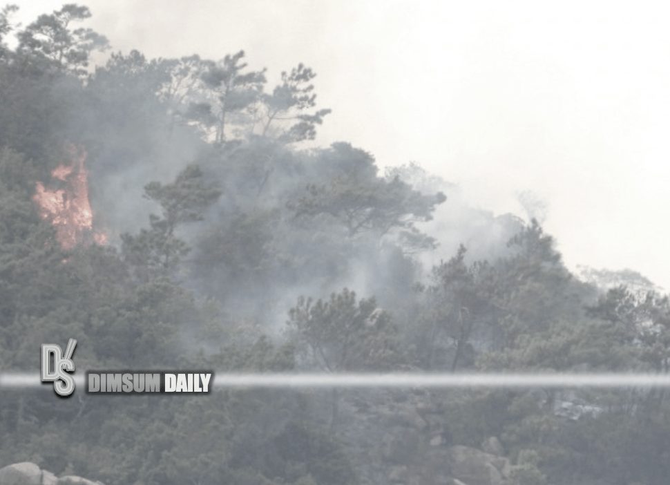 Wildfire near Ngong Ping Trail - Dimsum Daily