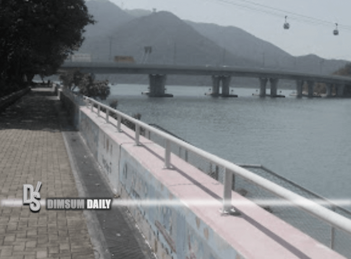 15-year-old jumps into sea at Tung Chung Waterfront Road and dies ...