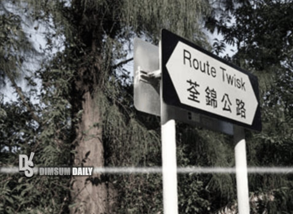 Motorcycle overturns after trying to avoid a wild boar on Route Twisk ...