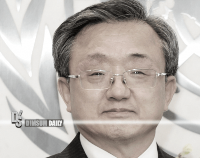 Senior UN official commends China's proactive role in fostering ...