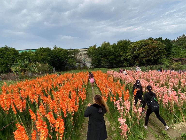 Visit 'Mini Japan' at Shun Sum Yuen Farm in Yuen Long - Dimsum Daily