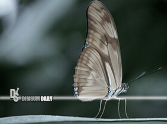 Government departments to take rigorous enforcement actions against non ...