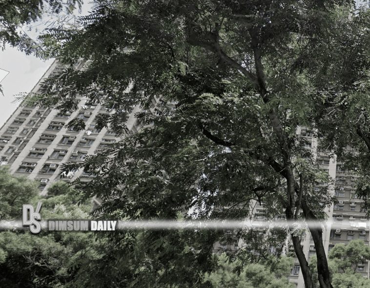 43-year-old man jumps to his death from top of Wang Kin House in Tai Po ...