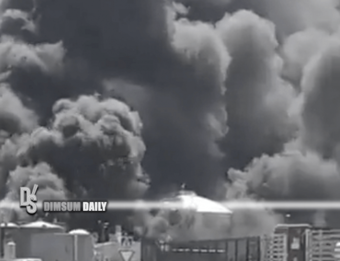 2 die in explosion at biofuel plant in northern Spain - Dimsum Daily