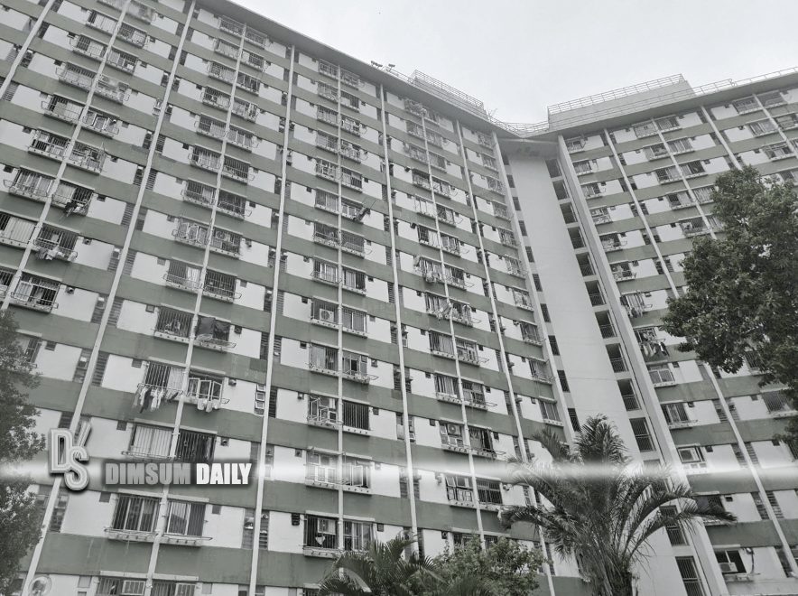Woman jumps from top of Shek Lin House, Shek Wai Kok Estate, Tsuen Wan ...
