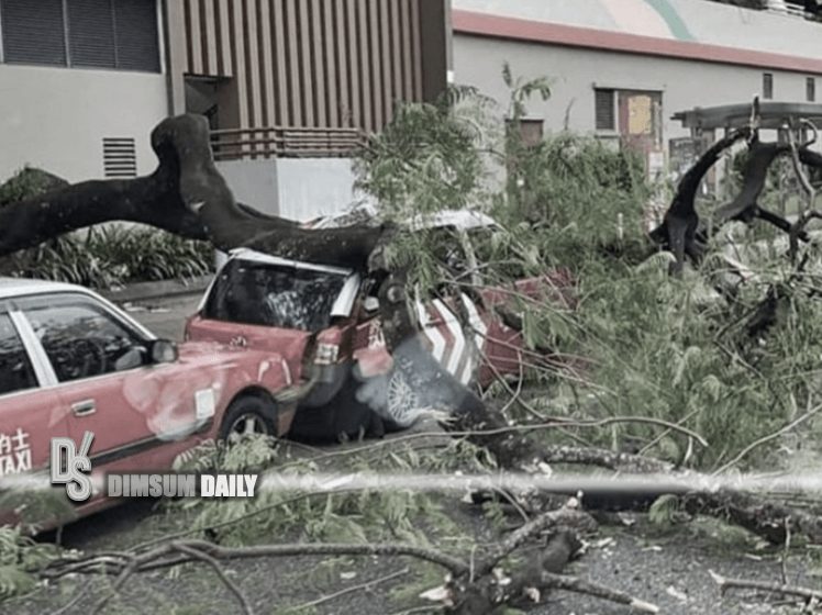 Tree crushes taxi in Tai Wai during Strong Wind Signal, No. 3 - Dimsum ...