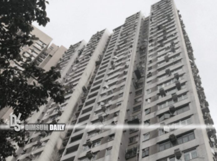 Woman jumps to her death from top of Tsui Yung House in Tsui Ping ...