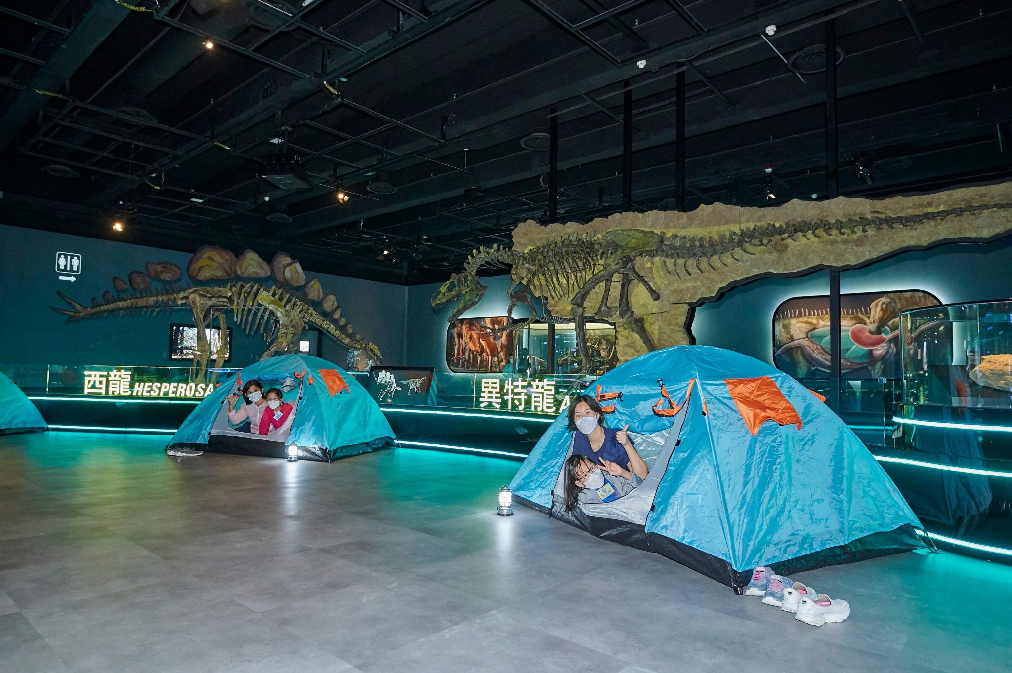 "A Night with Dinosaurs" sleepover programme at Hong Kong Science ...