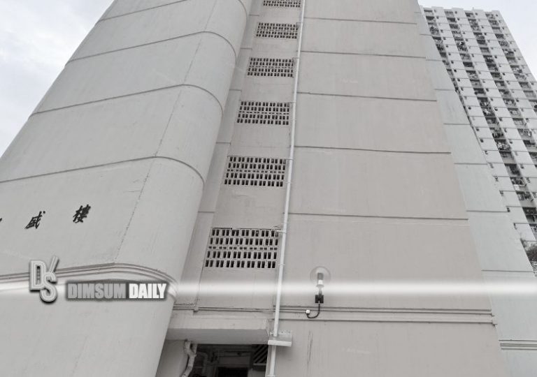56-year-old woman jumps to her death from top of Hing Shing House, Tai ...