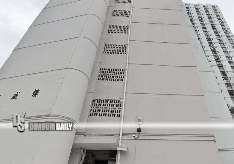 56-year-old woman jumps to her death from top of Hing Shing House, Tai ...