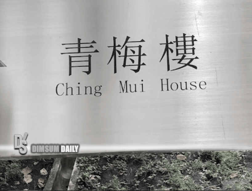 2 suicides reported at Cheung Ching Estate in Tsing Yi and Yat Tung ...