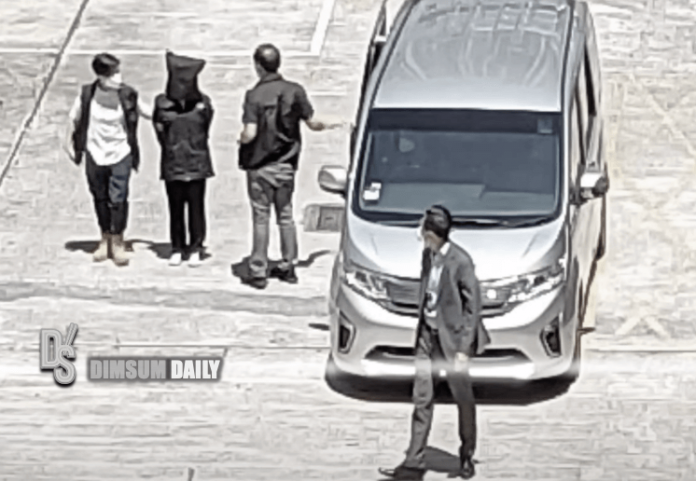 Female suspect handed over by mainland authorities unable to appear in ...