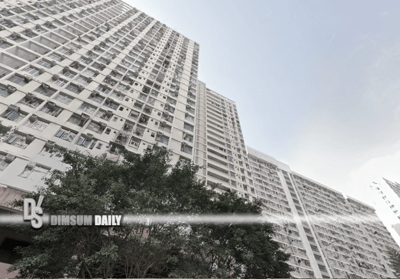 Indonesian woman jumps to her death from top of apartment in Tsui Ping ...