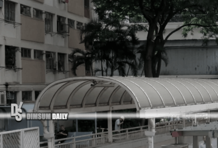 Man found unconscious in flower trough opposite Tan Fung House in Choi ...