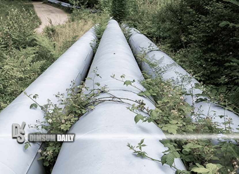 New gas pipeline linking Poland and Slovakia opens - Dimsum Daily