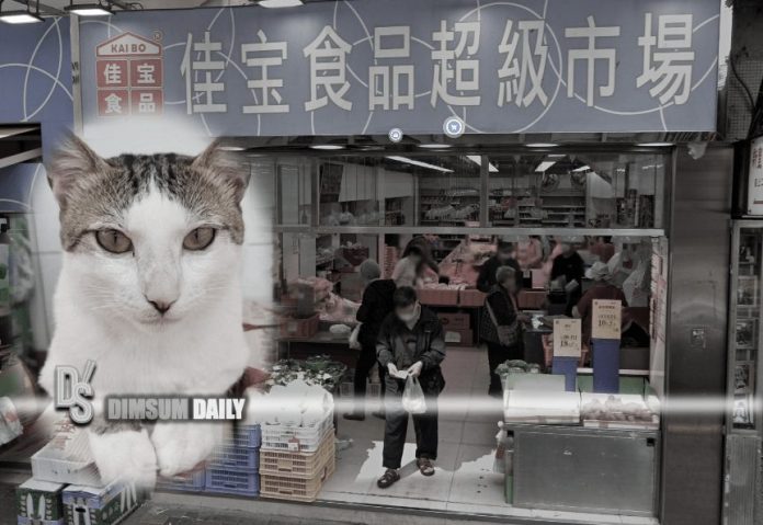 27-year-old man arrested for stealing cat from KAIBO supermarket in ...